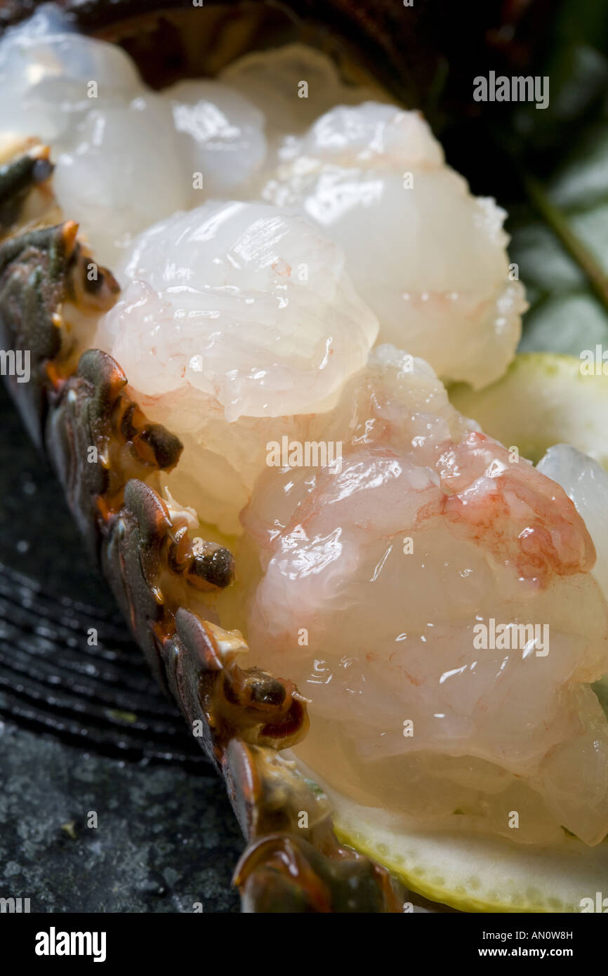 Spring lobster hi-res stock photography and images - Alamy