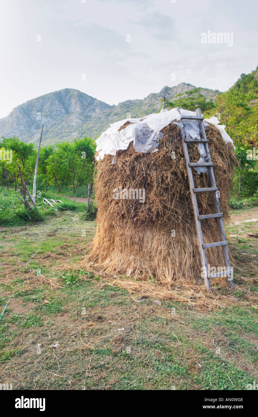 A hay stack haystack with drying hay in the garden, with an old wooden ...