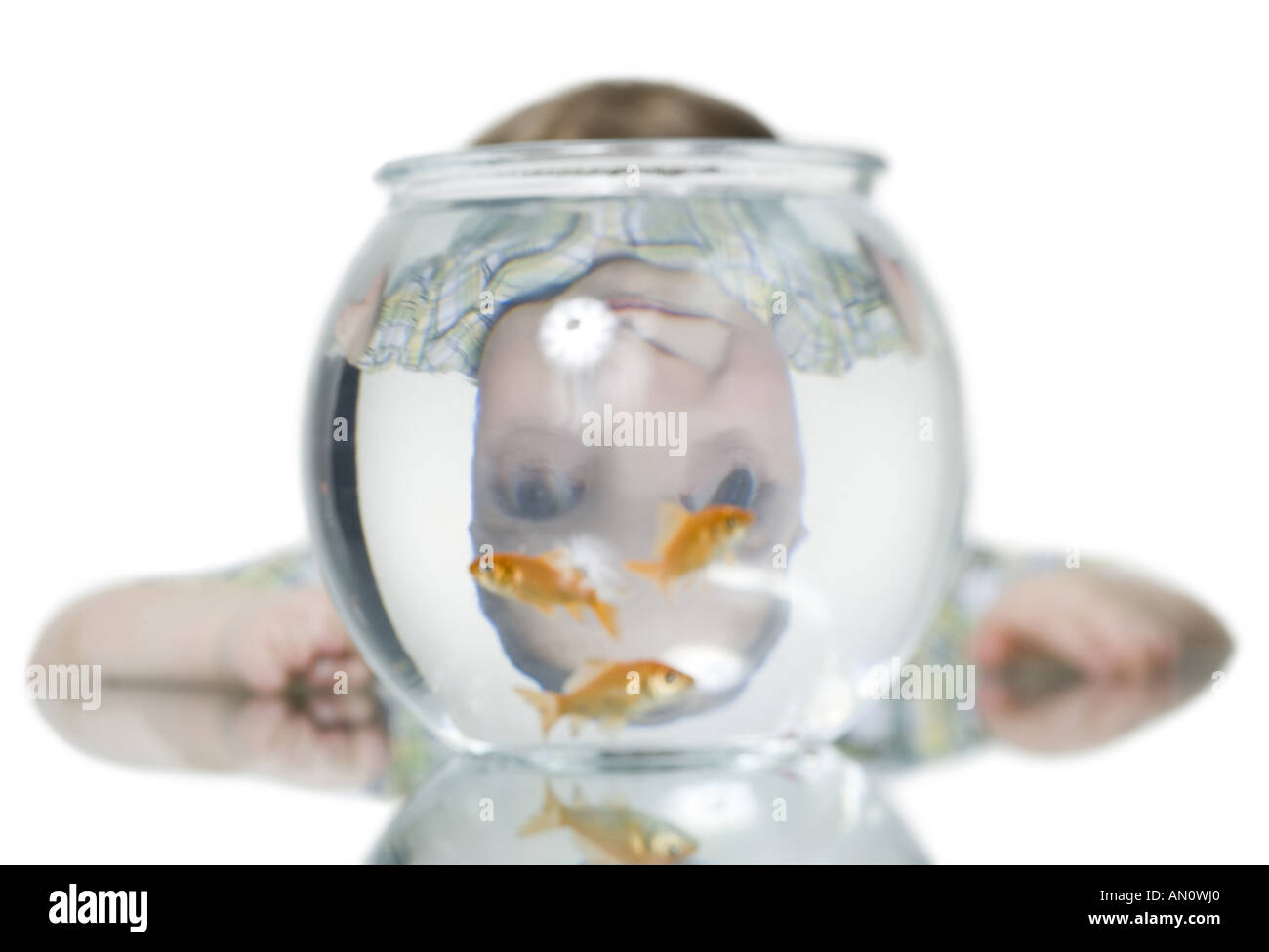 Boy looking at goldfish hi-res stock photography and images - Alamy
