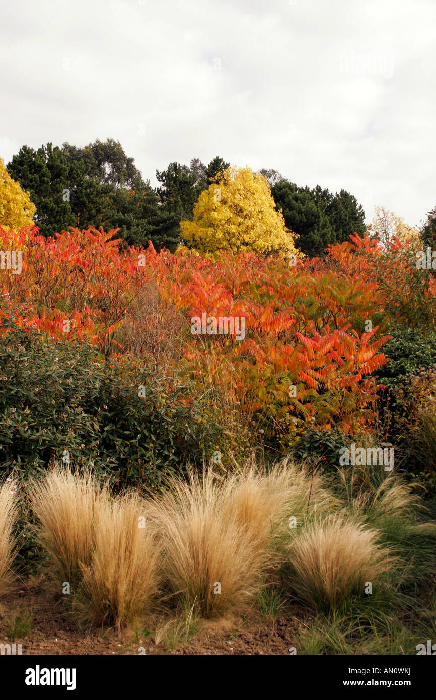 COLOURFUL AUTUMN BORDER RHS HYDE HALL ESSEX UK Stock Photo - Alamy
