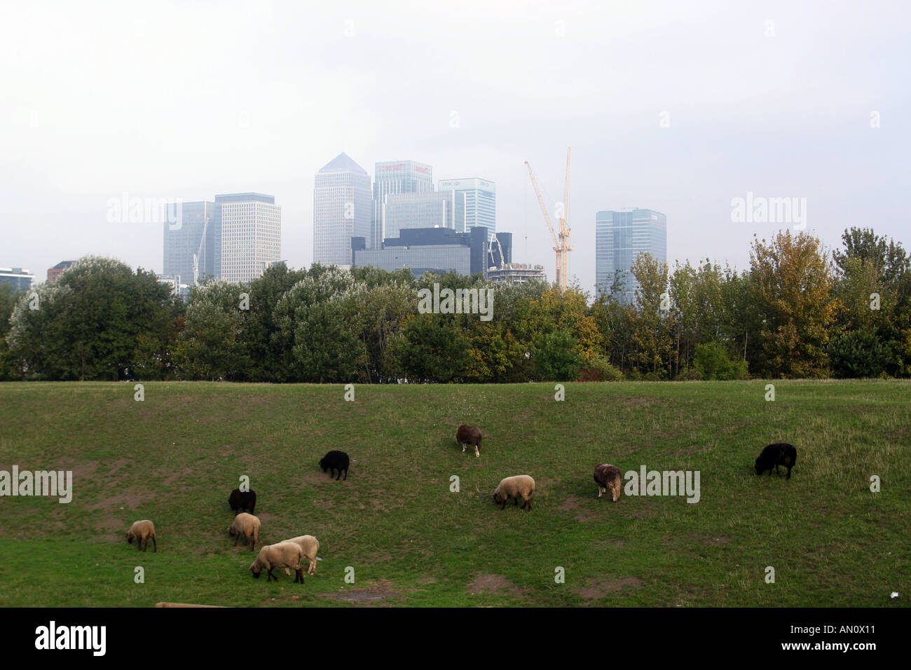 Mudchute farm hi-res stock photography and images - Alamy