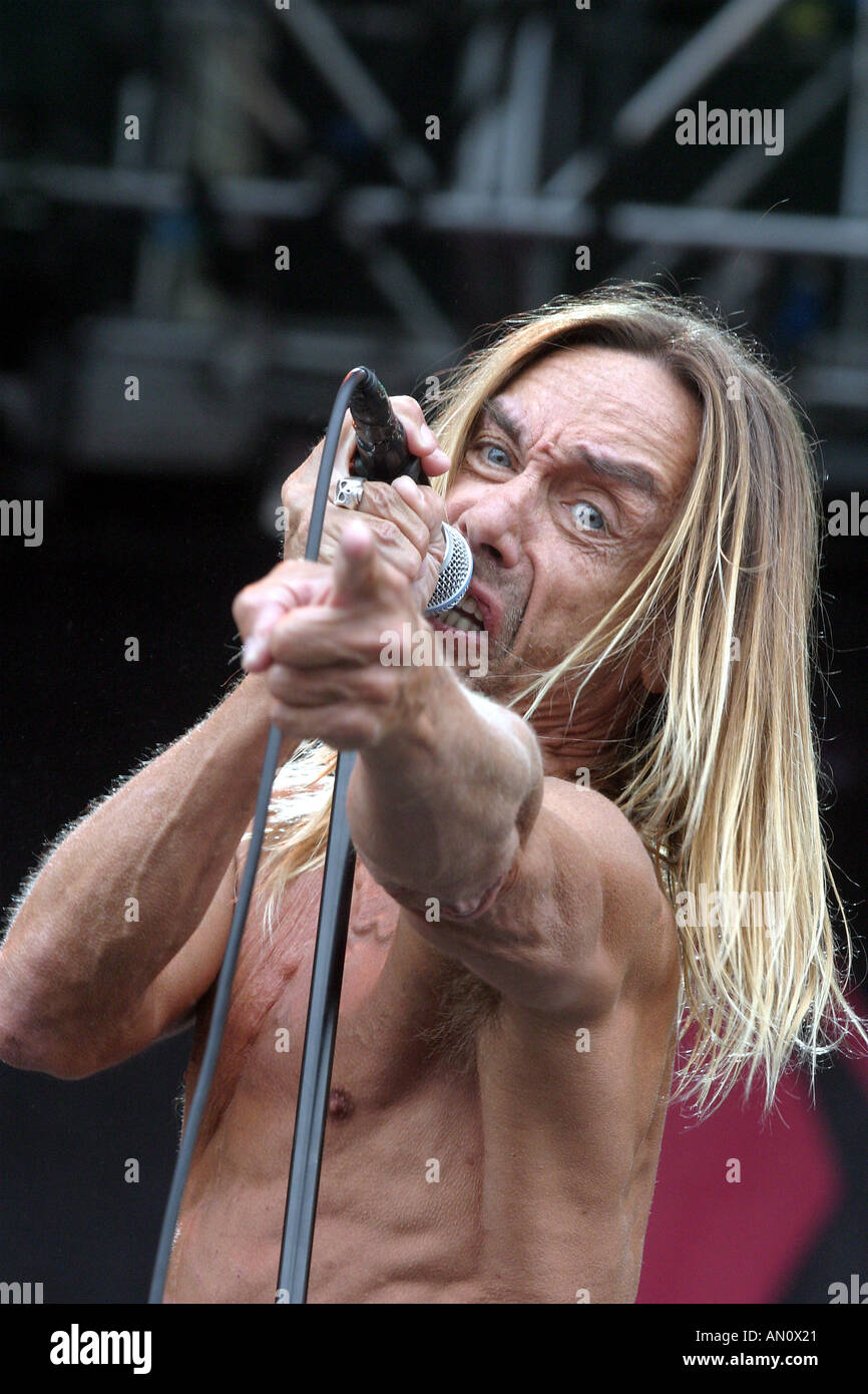Iggy Pop High Resolution Stock Photography and Images - Alamy