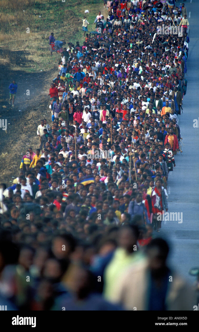 Reed dance swaziland hi-res stock photography and images - Alamy