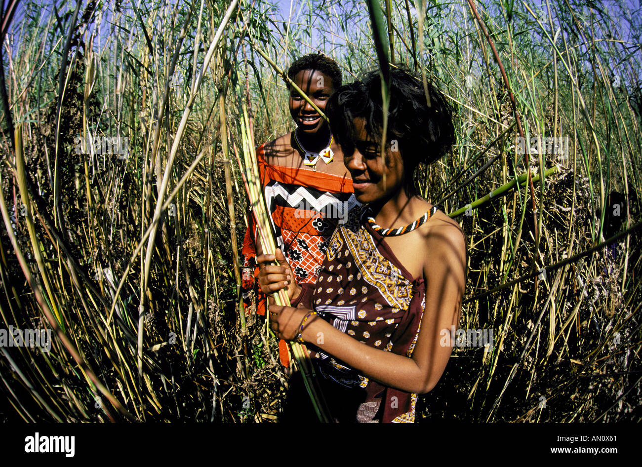 Reed dance festival hi-res stock photography and images - Alamy