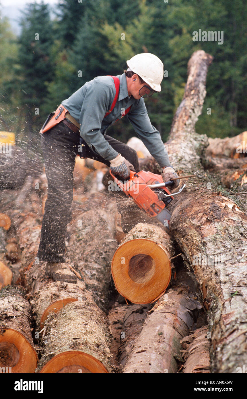 Lumberjack works in the north woods of New Hampshire USA Stock Photo ...