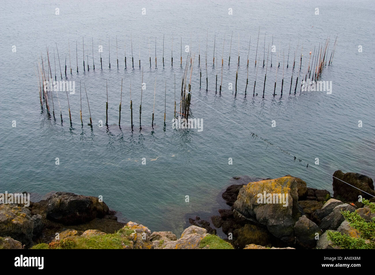 Fishing weir native hi-res stock photography and images - Alamy