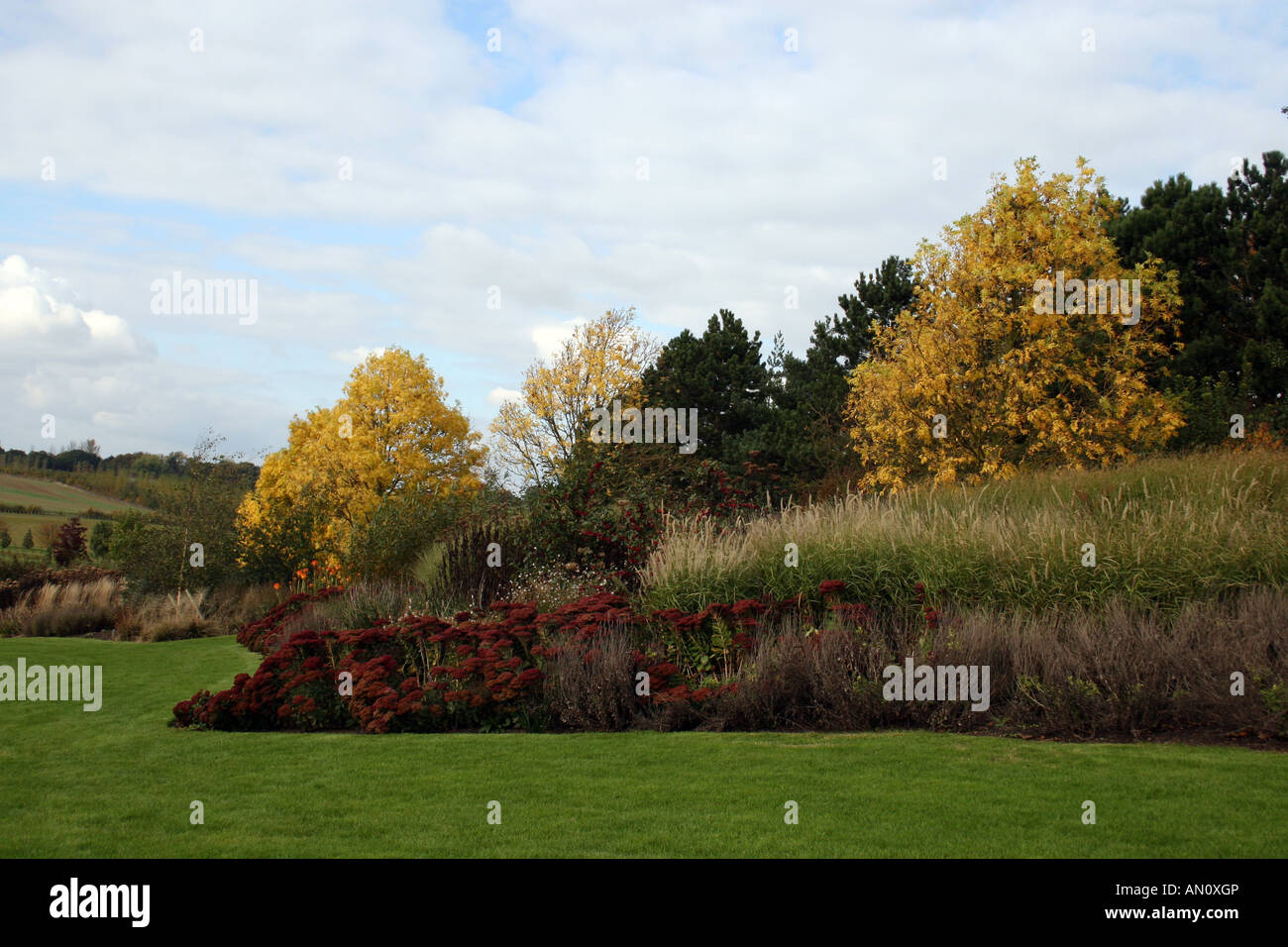 Autumn shrubs growing in border hi-res stock photography and images - Alamy