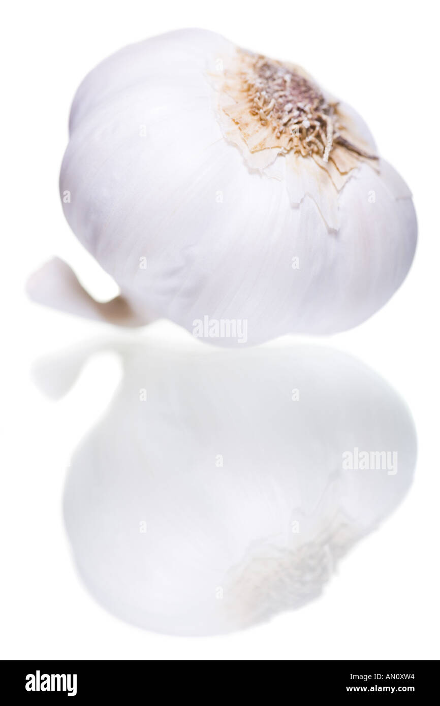 Whole garlic bulb Stock Photo - Alamy