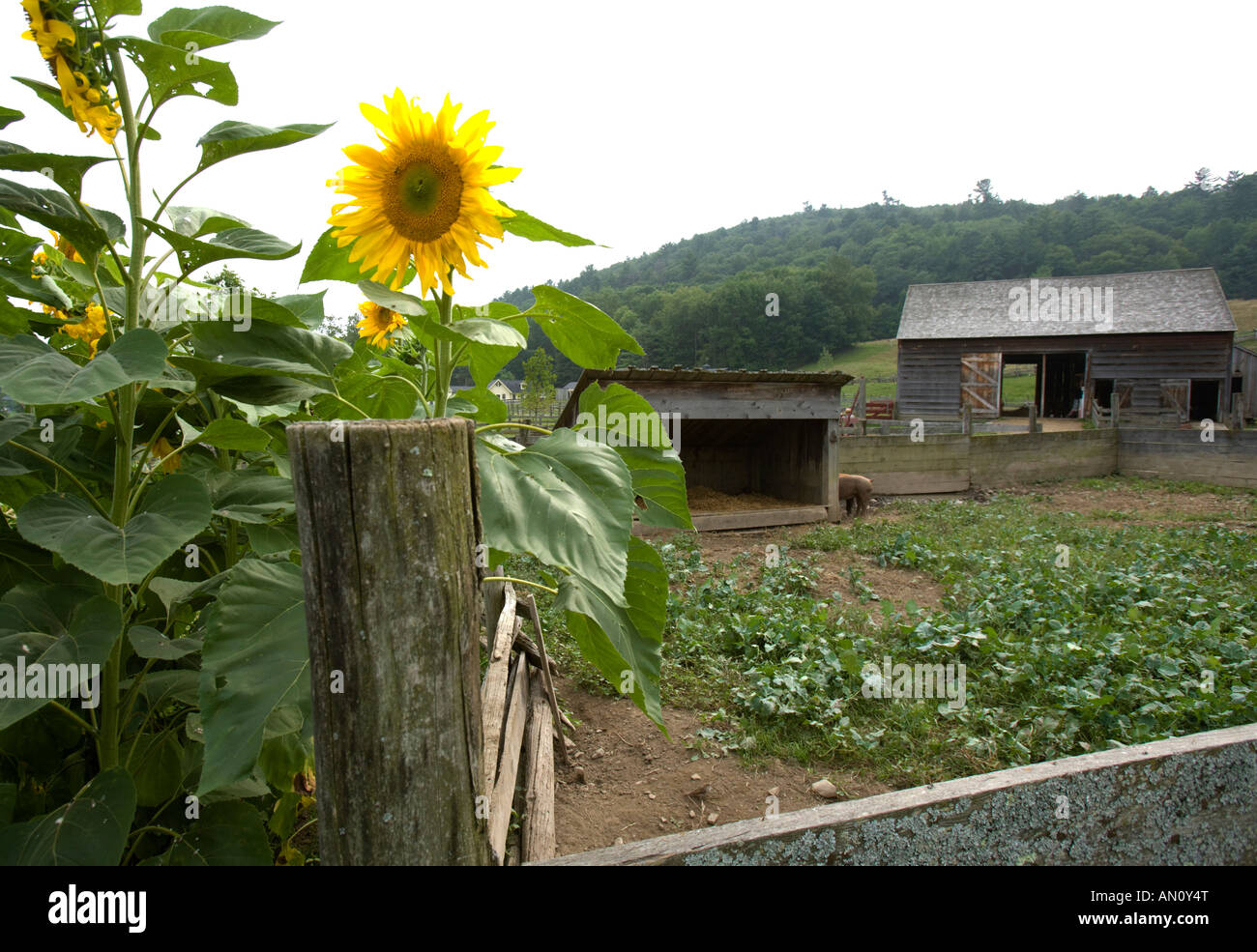 19th century farm hi-res stock photography and images - Alamy