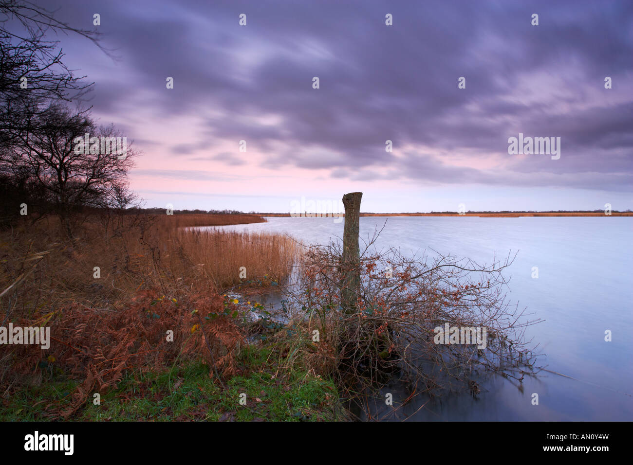 Martham broad hi-res stock photography and images - Alamy