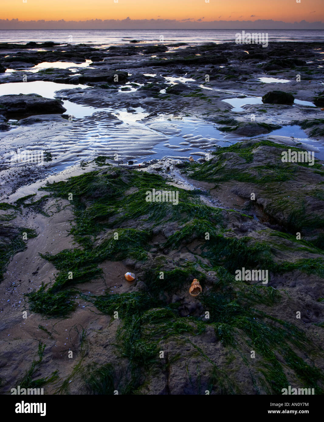 The naze, essex hi-res stock photography and images - Alamy