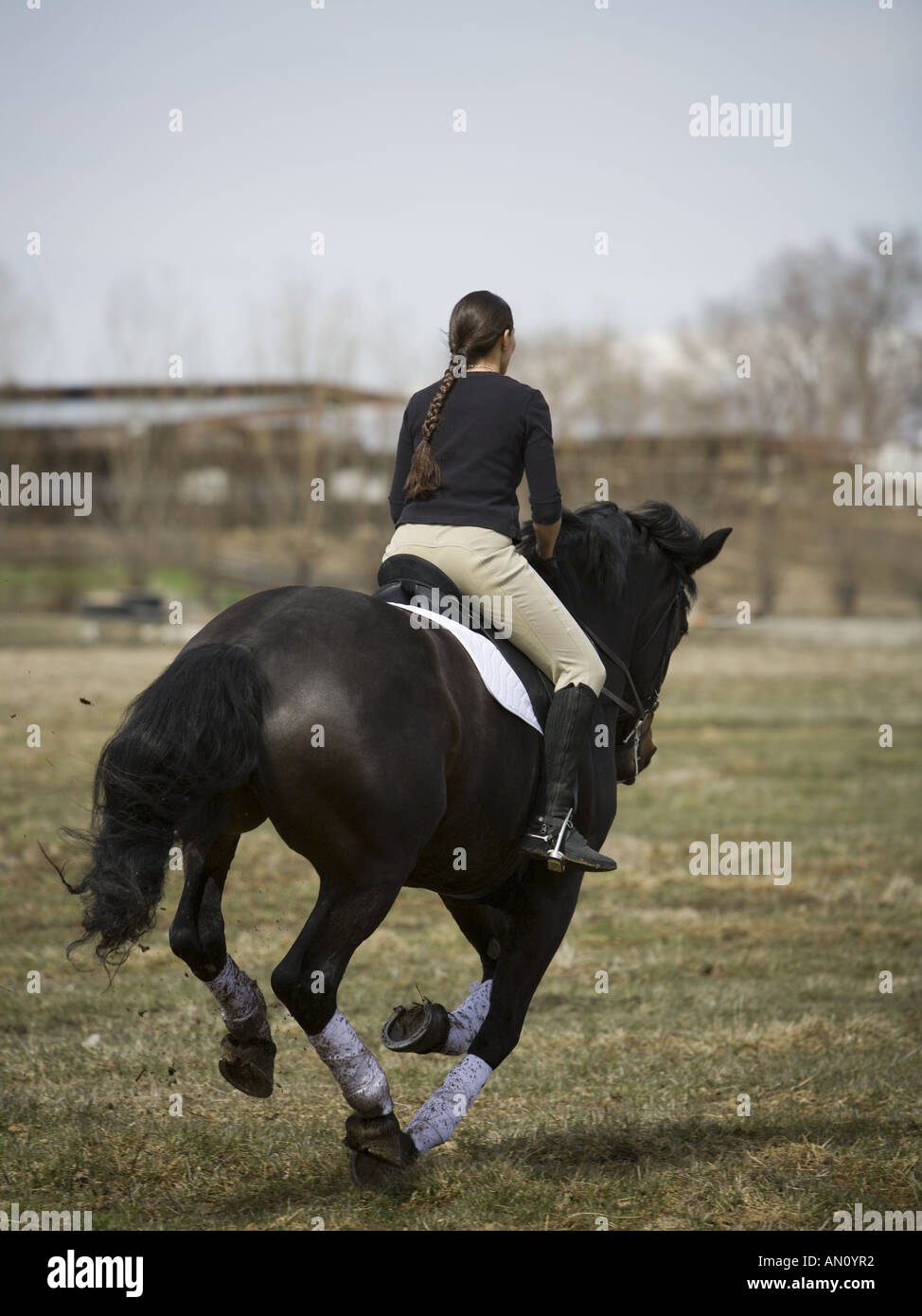 Rear view of a mid adult woman riding a horse Stock Photo - Alamy