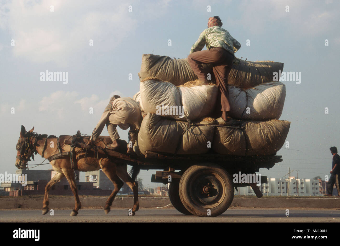 Horse pulling a cart laden with two men and large sacks, in India Stock ...