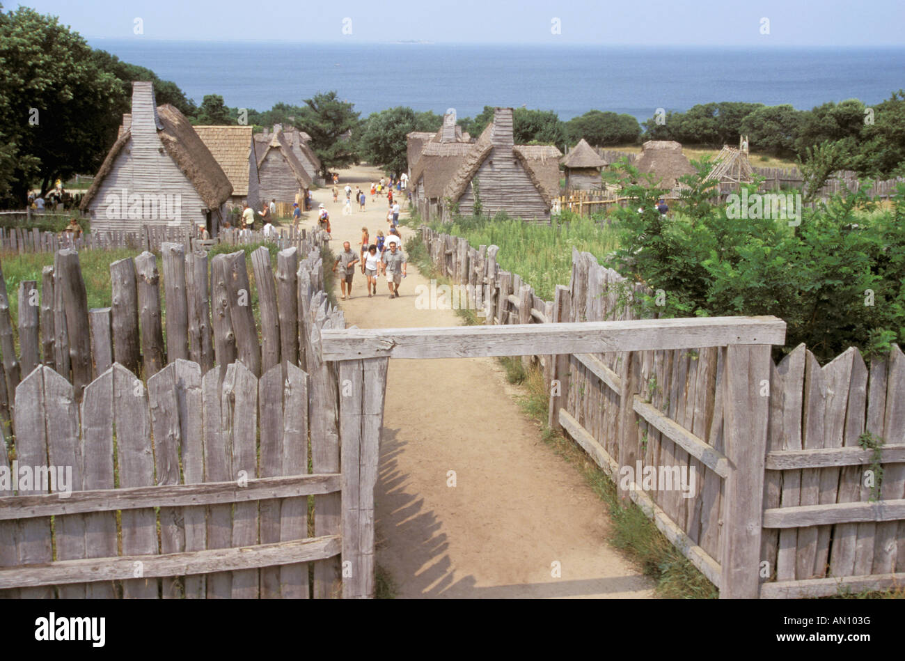 North America, USA, Massachusetts, Plymouth. Local plantation Stock ...