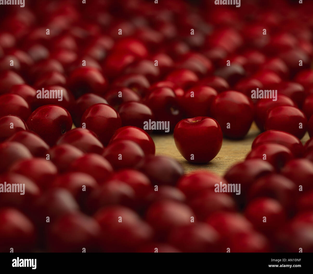 SWEET CHERRIES STUDIO Stock Photo - Alamy
