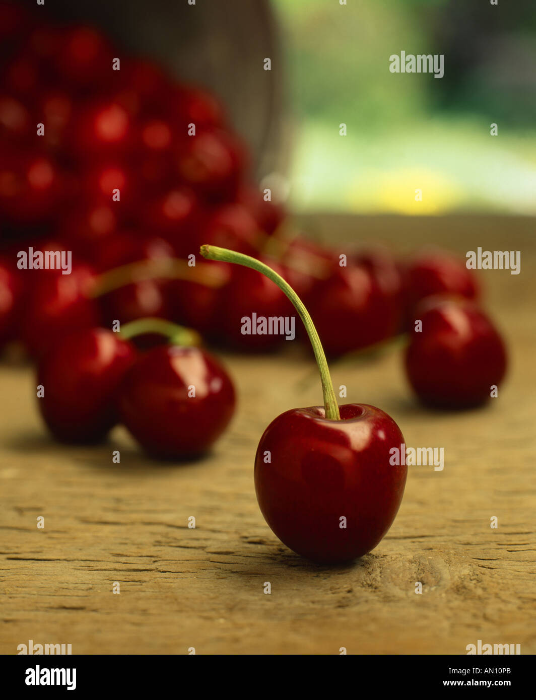 SWEET CHERRIES STUDIO Stock Photo - Alamy