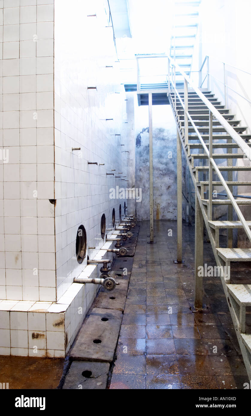 Enormous concrete fermentation and storage vats covered in white tiles ...