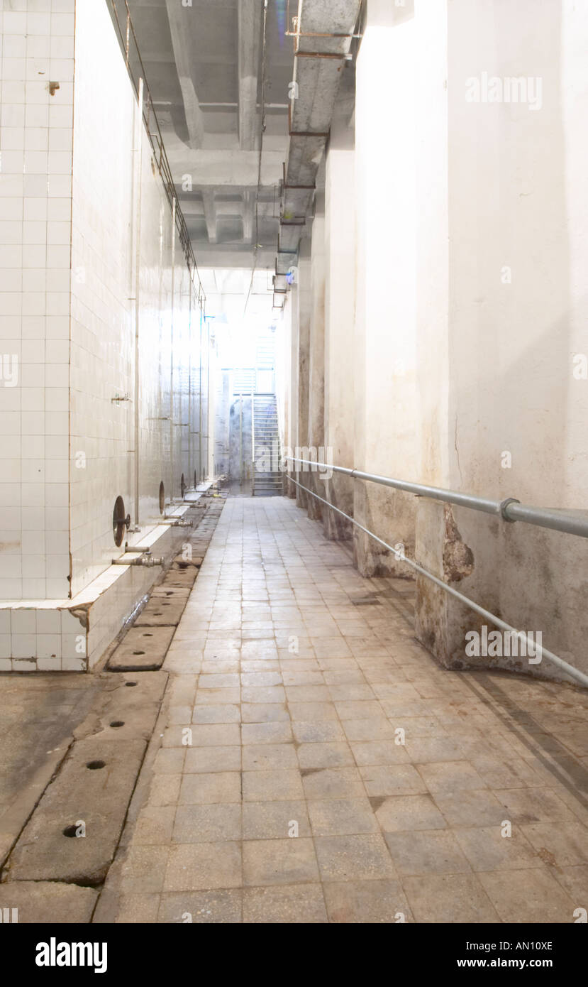 Enormous concrete fermentation and storage vats covered in white tiles ...
