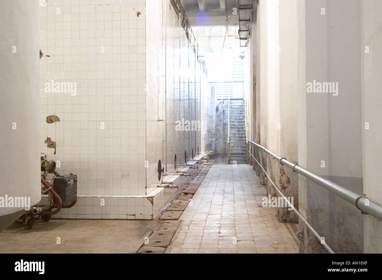 Enormous concrete fermentation and storage vats covered in white tiles ...