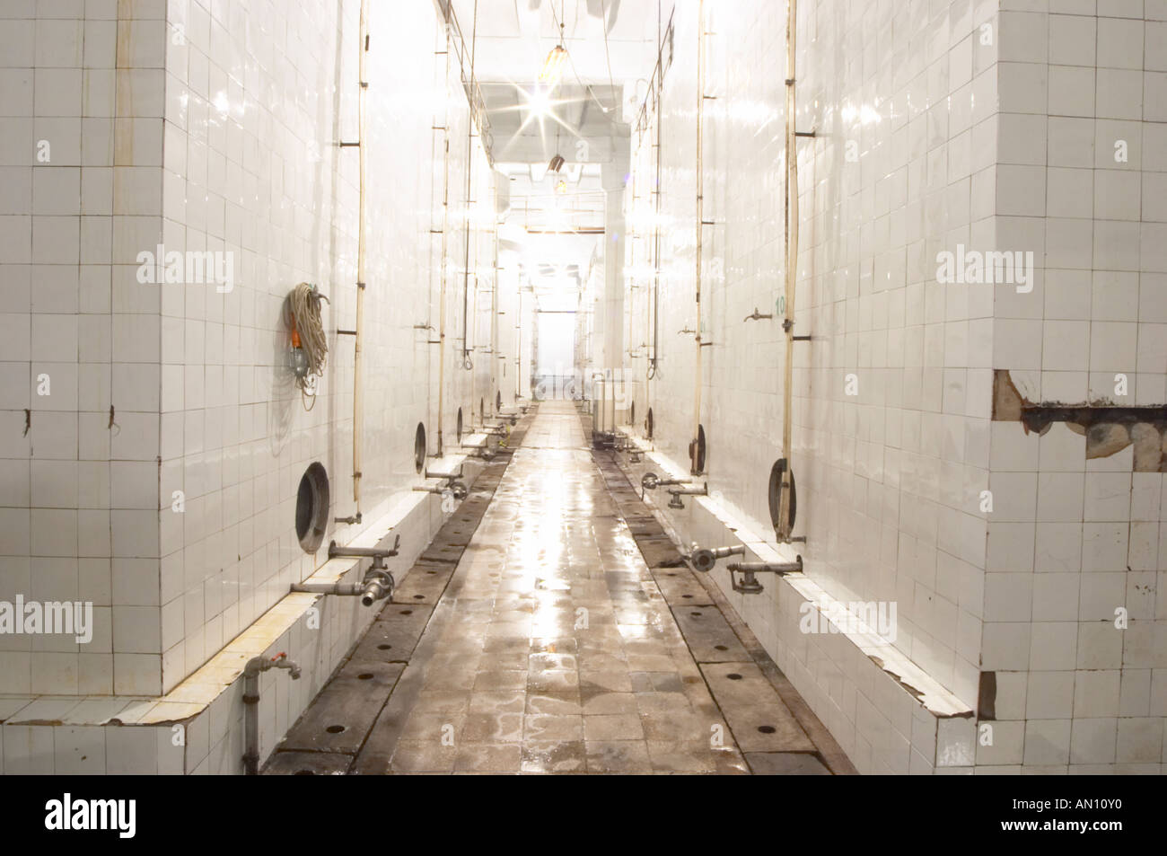 Enormous concrete fermentation and storage vats covered in white tiles ...
