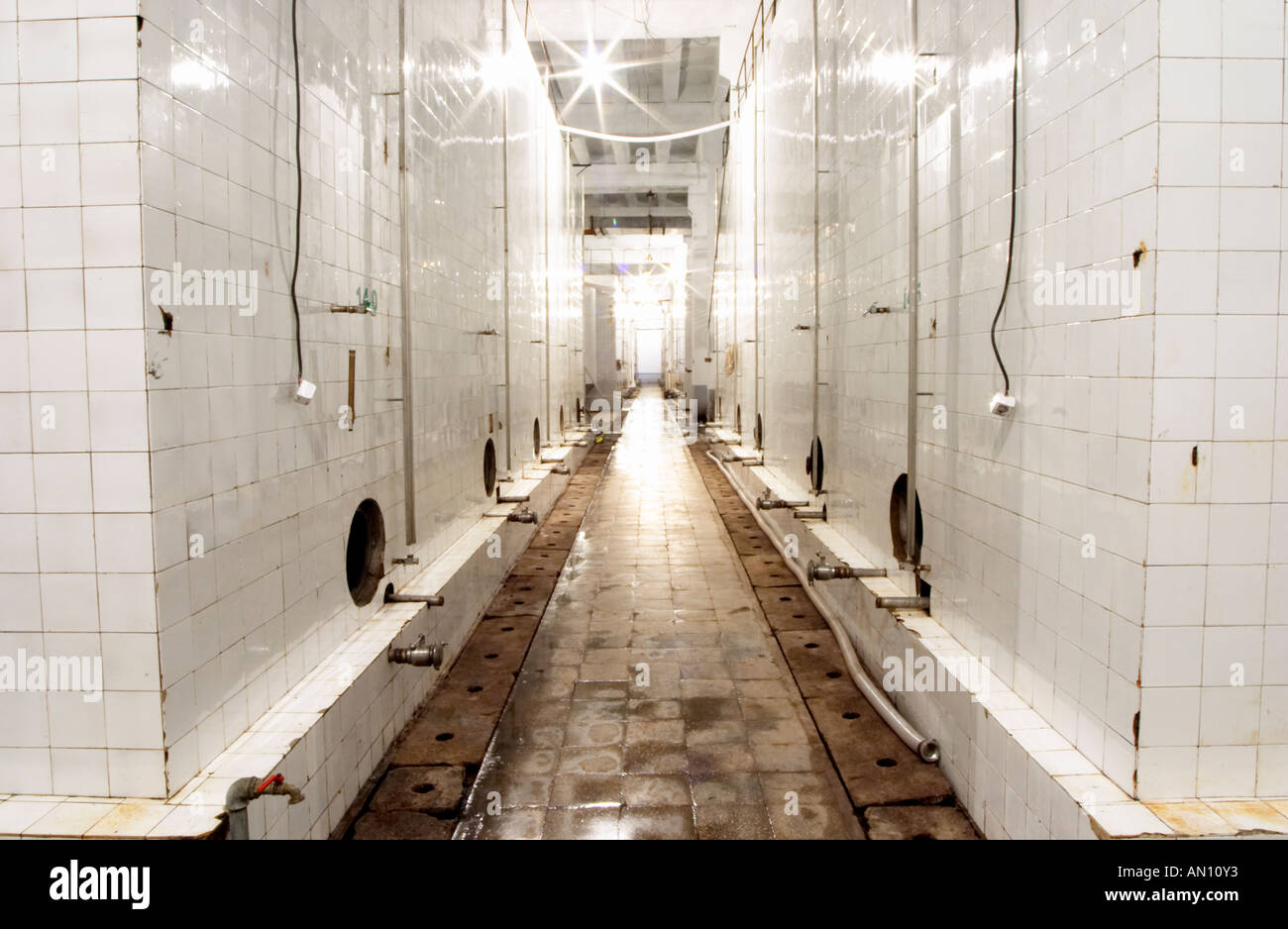 Enormous concrete fermentation and storage vats covered in white tiles ...