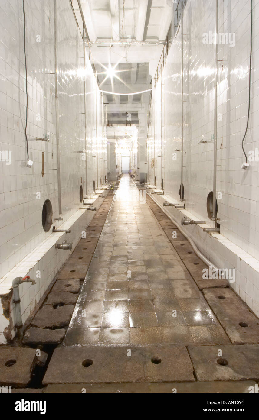 Enormous concrete fermentation and storage vats covered in white tiles ...