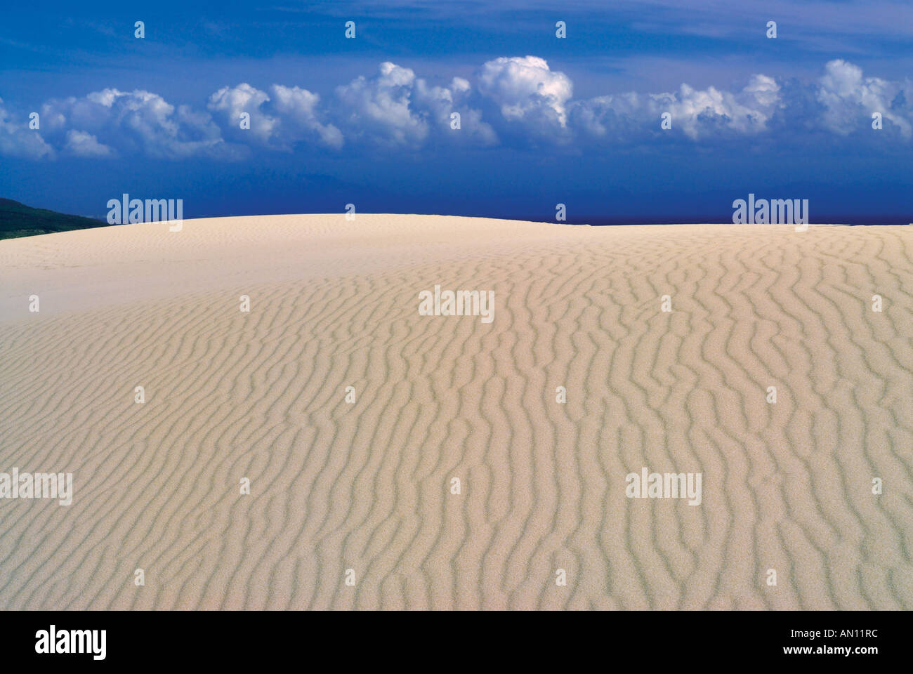 Bolonia spain hi-res stock photography and images - Alamy
