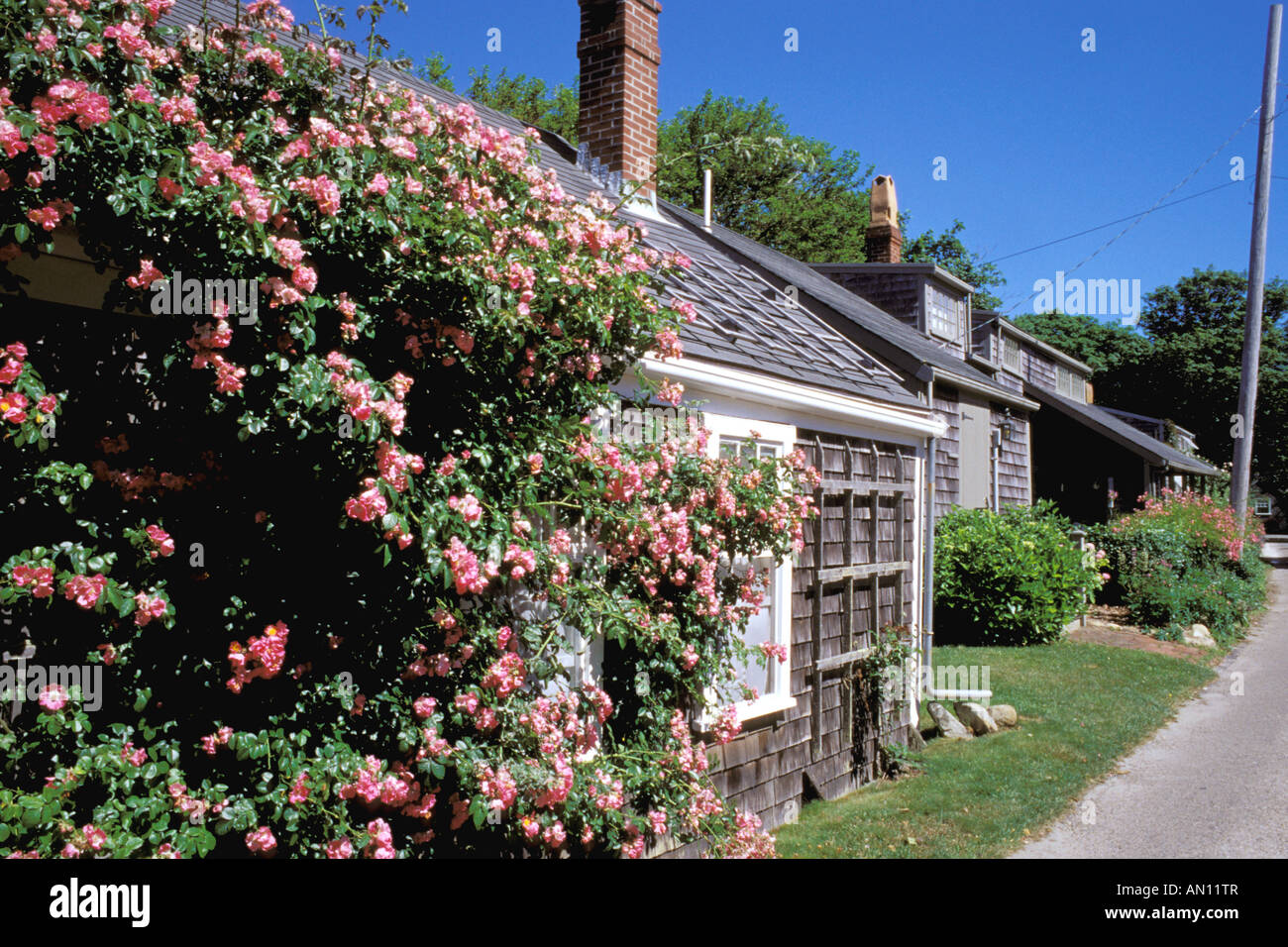 North America, USA, Massachusetts, Nantucket Island, Siasconset. Summer ...