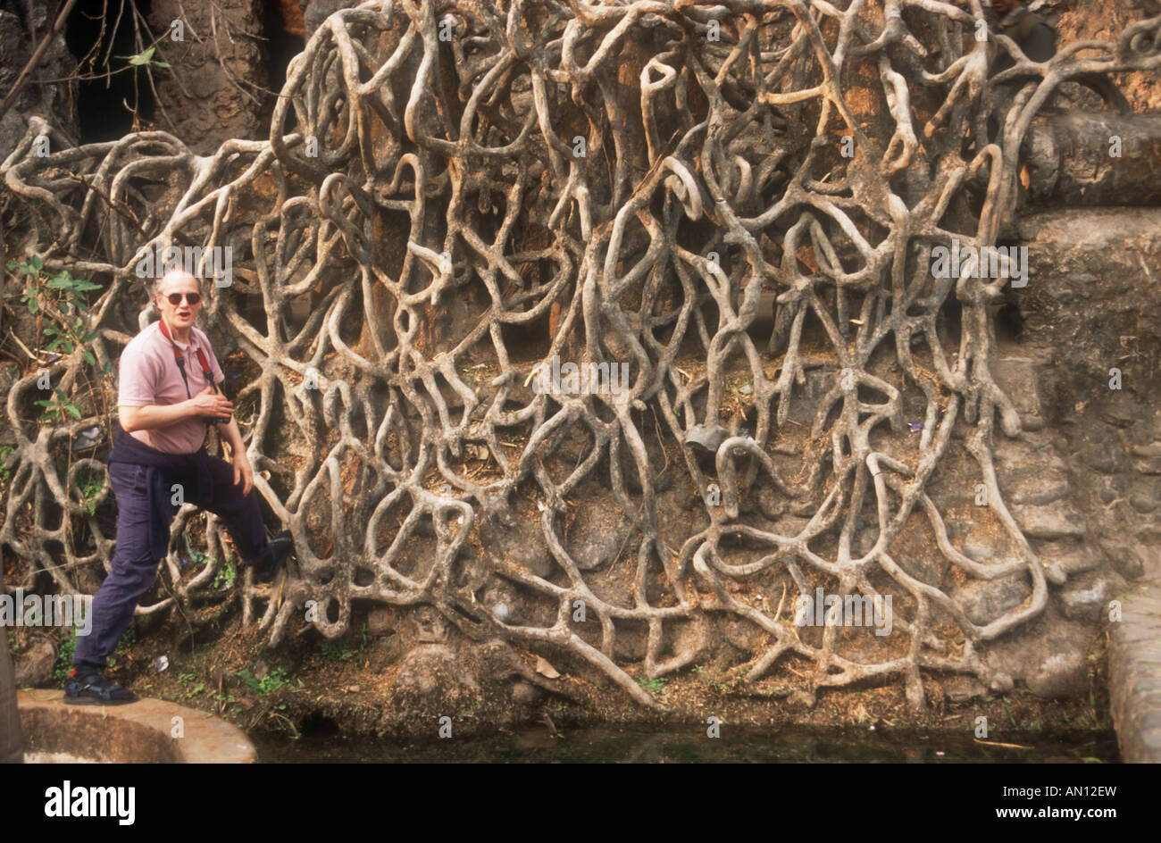 Man standing on artificial roots in rock garden at Chandigarh, Punjab ...