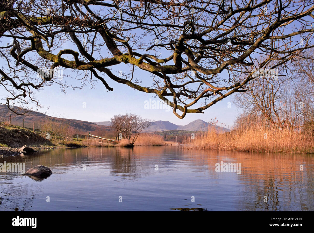 View from River Crake towards Conistonwater with overhanging tree in ...