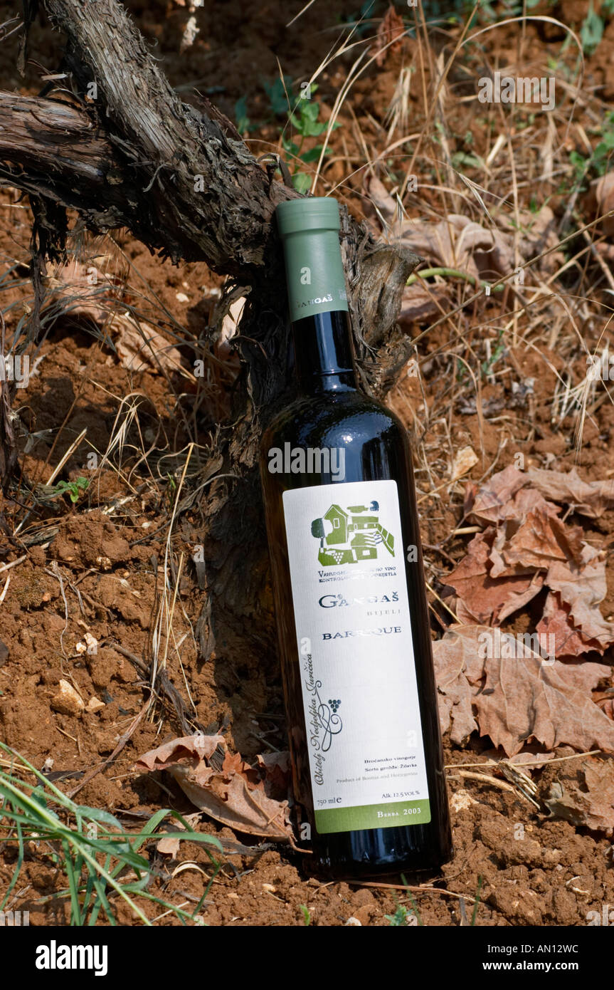 Bottle of Gangas Bijeli Barrique oak aged white wine, Zilavka, berba ...