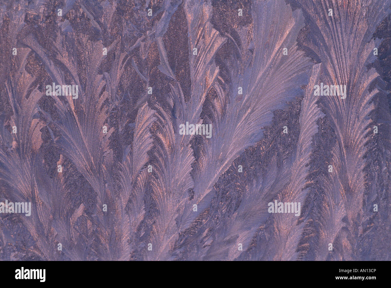 Fanciful patterns hi-res stock photography and images - Alamy