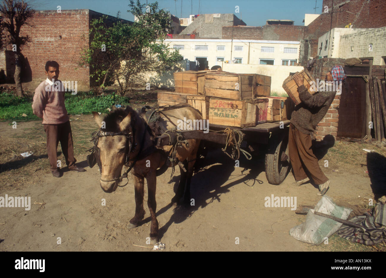 Indian horse and cart hi-res stock photography and images - Alamy