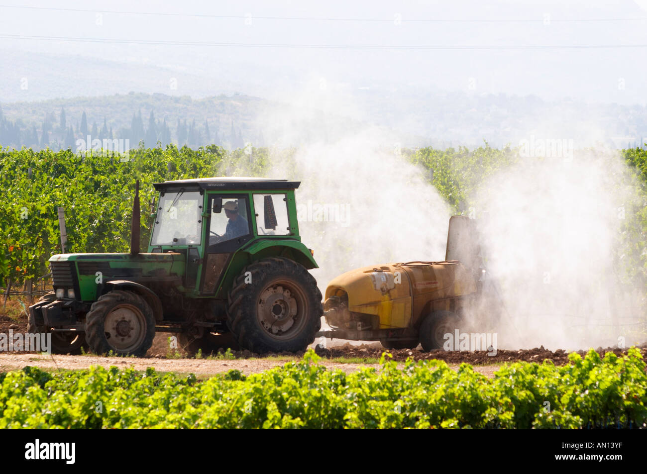 A vineyard tractor spraying with treatment for diseases between the ...