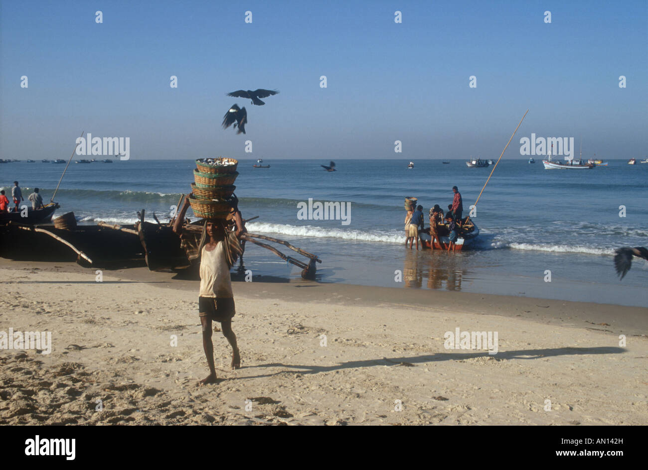 Beach scene in Goa, India, with fisherman carrying baskets of fish and ...