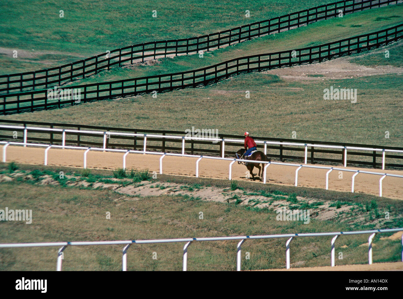 Gallop Track Training Stock Photos & Gallop Track Training Stock Images ...