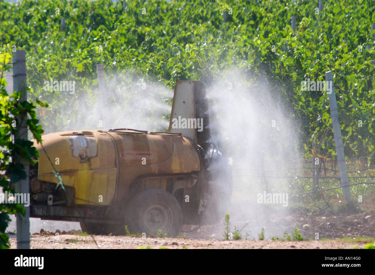 A vineyard tractor spraying with treatment for diseases between the ...