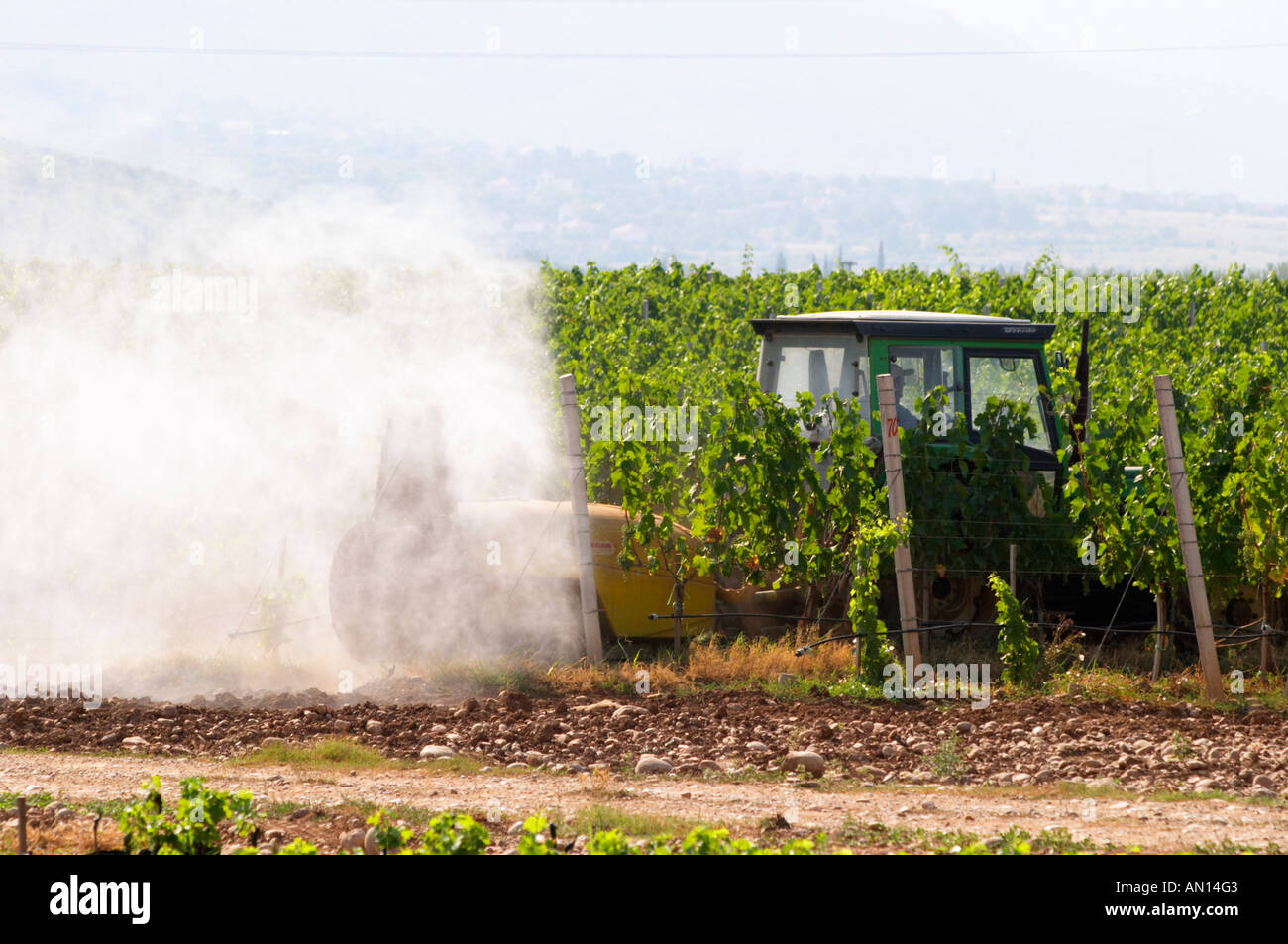 A vineyard tractor spraying with treatment for diseases between the ...