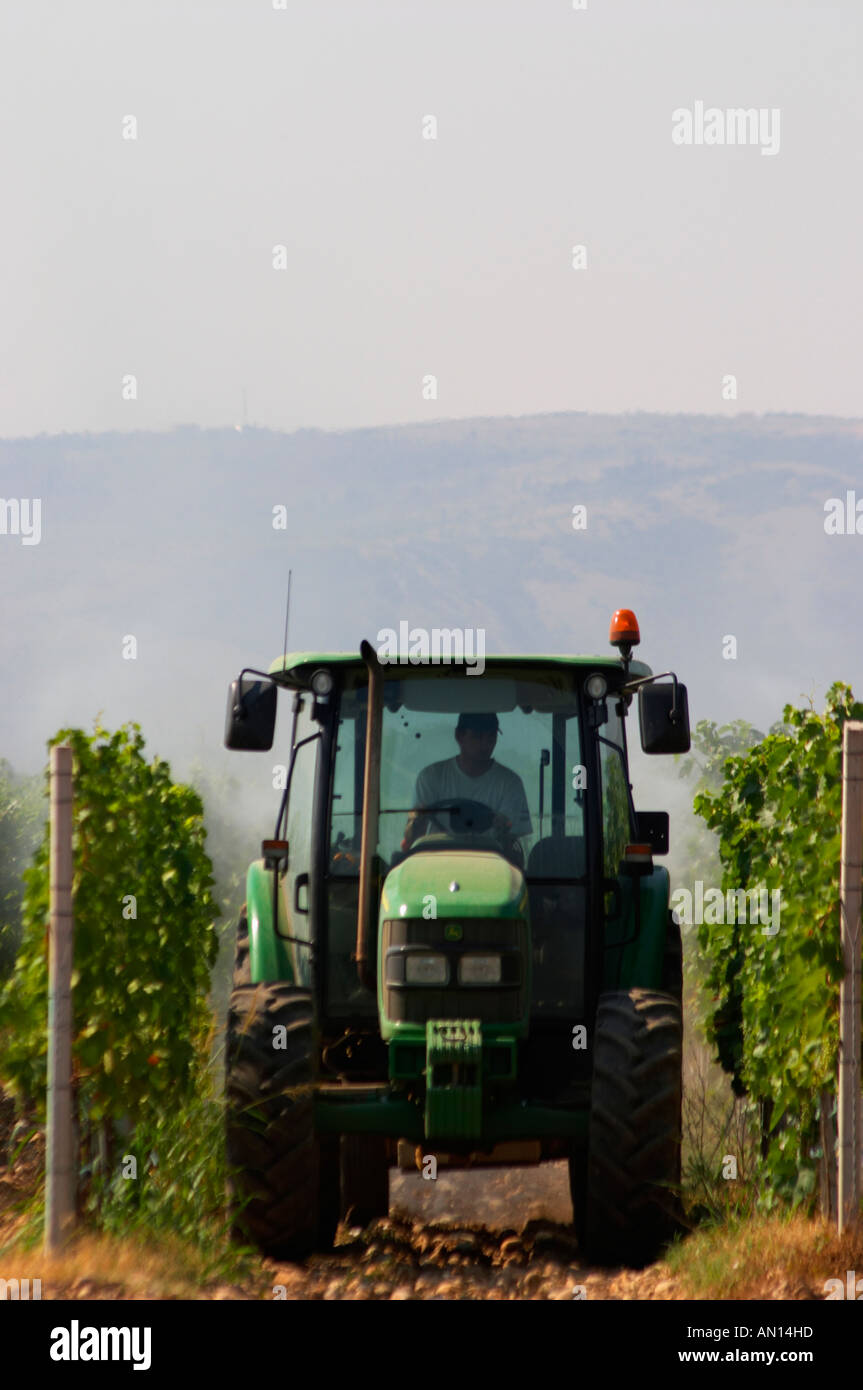 A vineyard tractor spraying with treatment for diseases between the ...