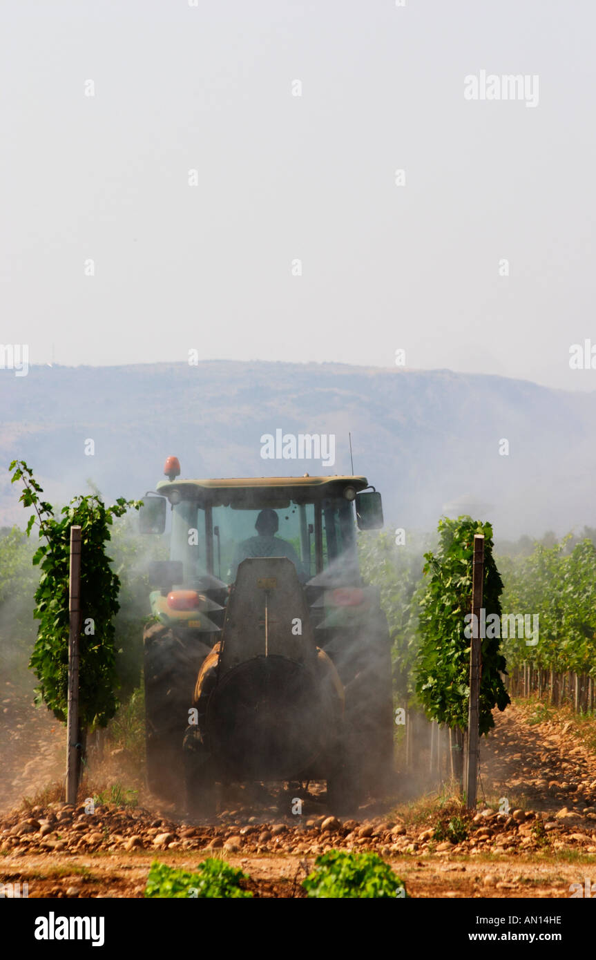 A vineyard tractor spraying with treatment for diseases between the ...