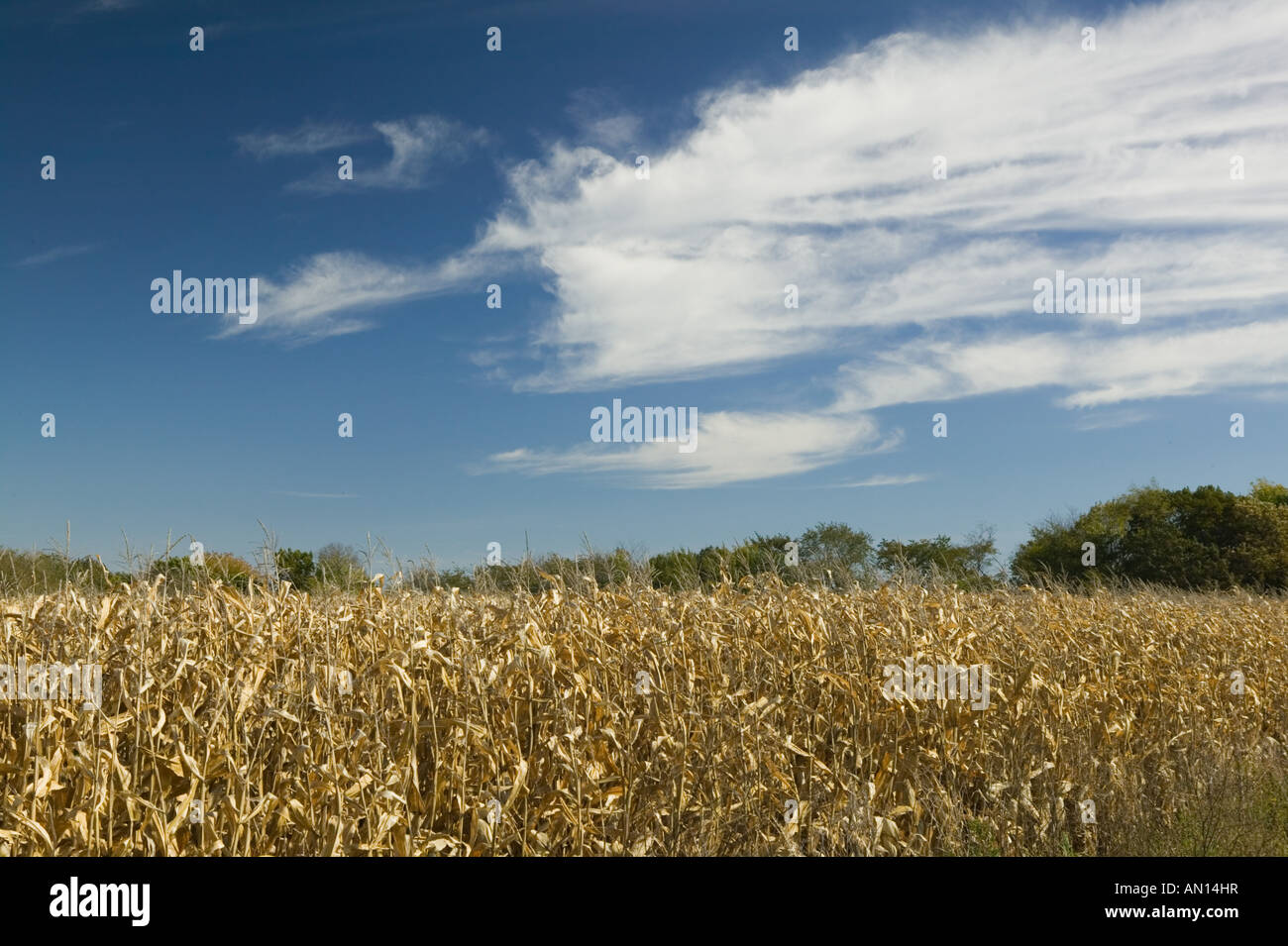 Bluff country minnesota hi-res stock photography and images - Alamy