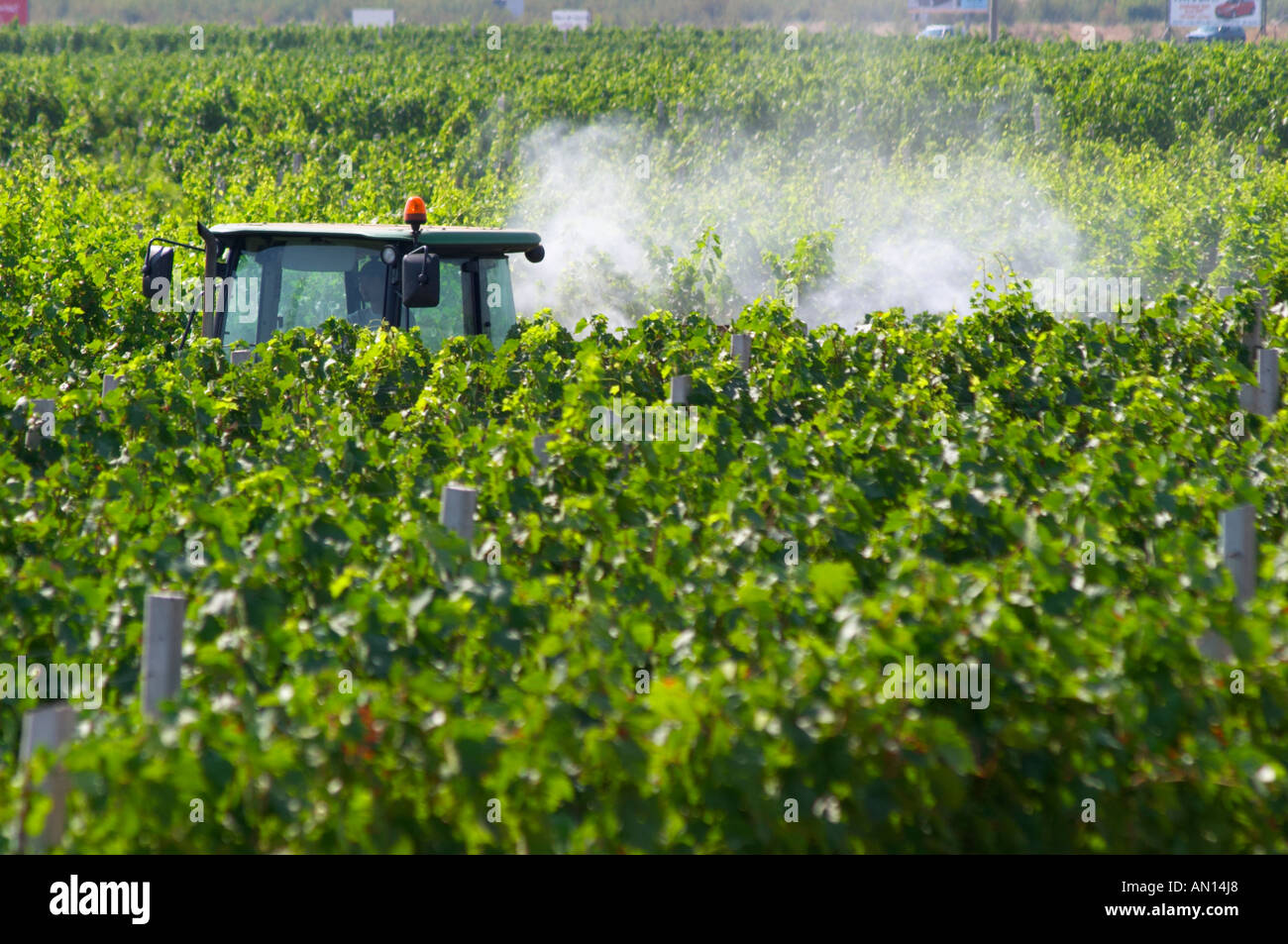 A vineyard tractor spraying with treatment for diseases between the ...