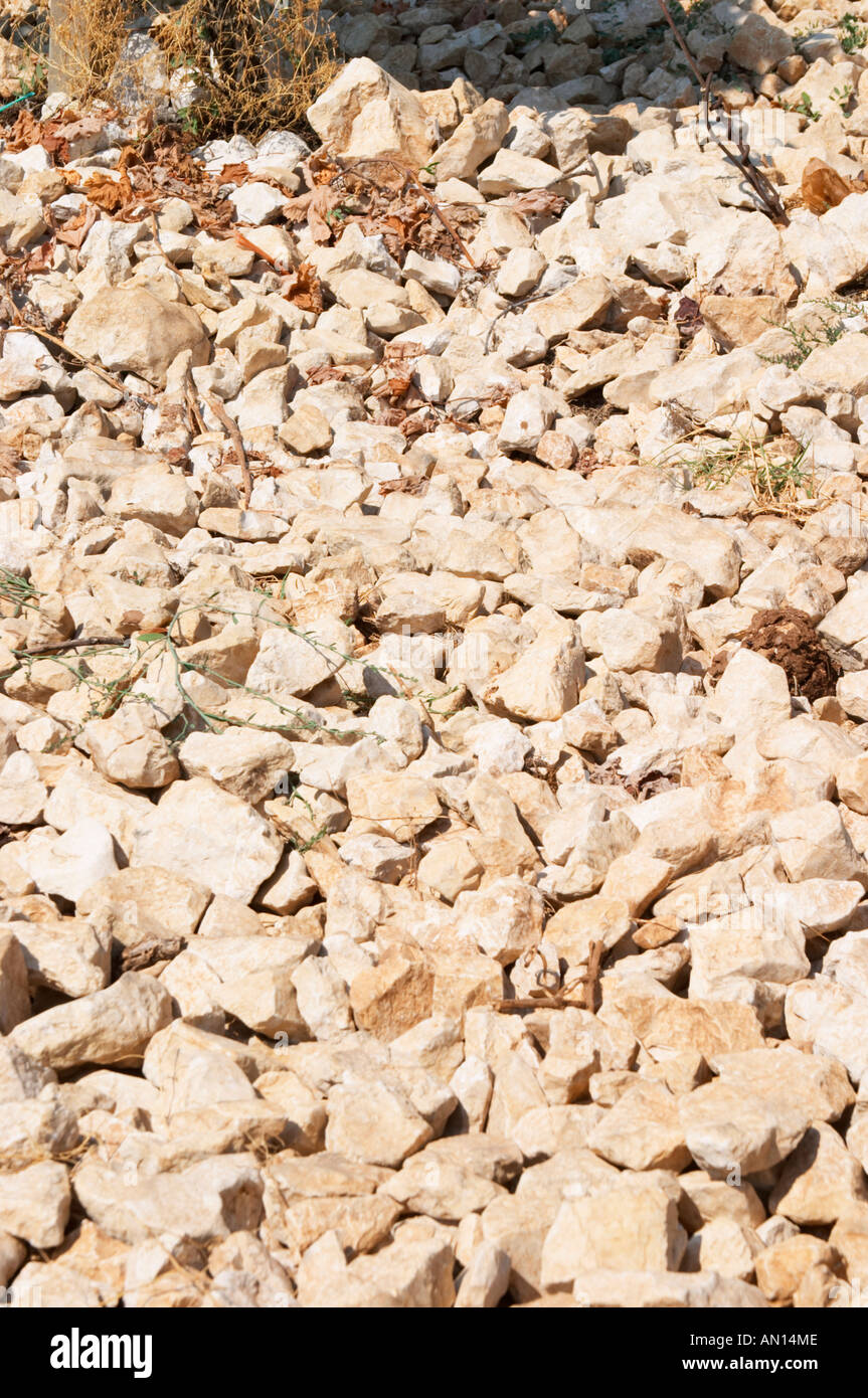 Limestone types hi-res stock photography and images - Alamy