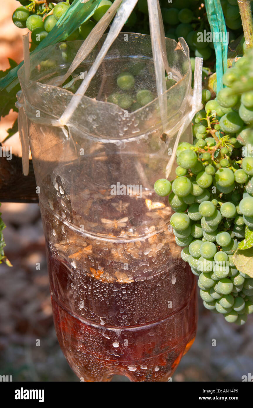 Fruit juice trap hi-res stock photography and images - Alamy