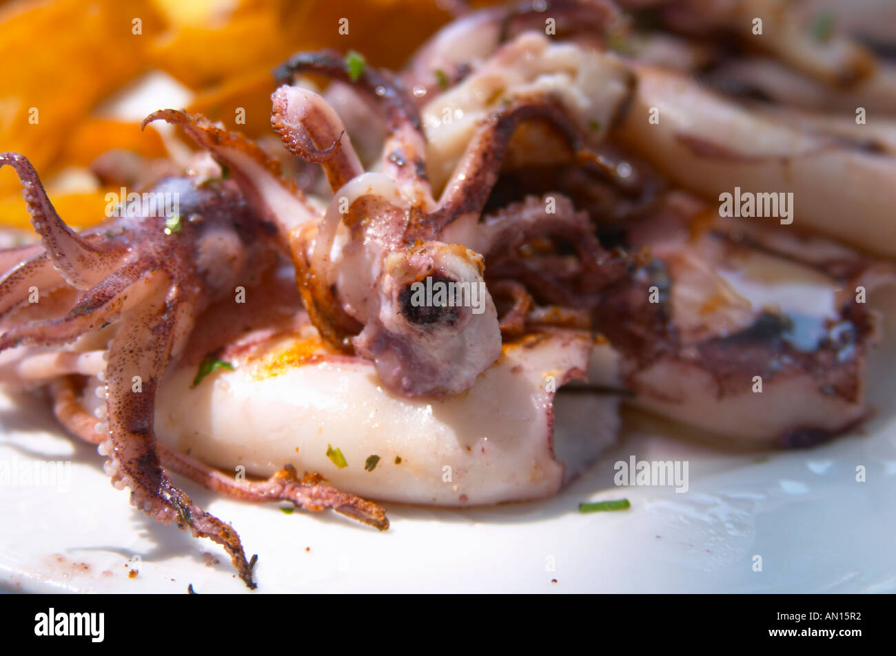 A dish with fried calamares calamari, octopus, ink fish. Hotel and ...