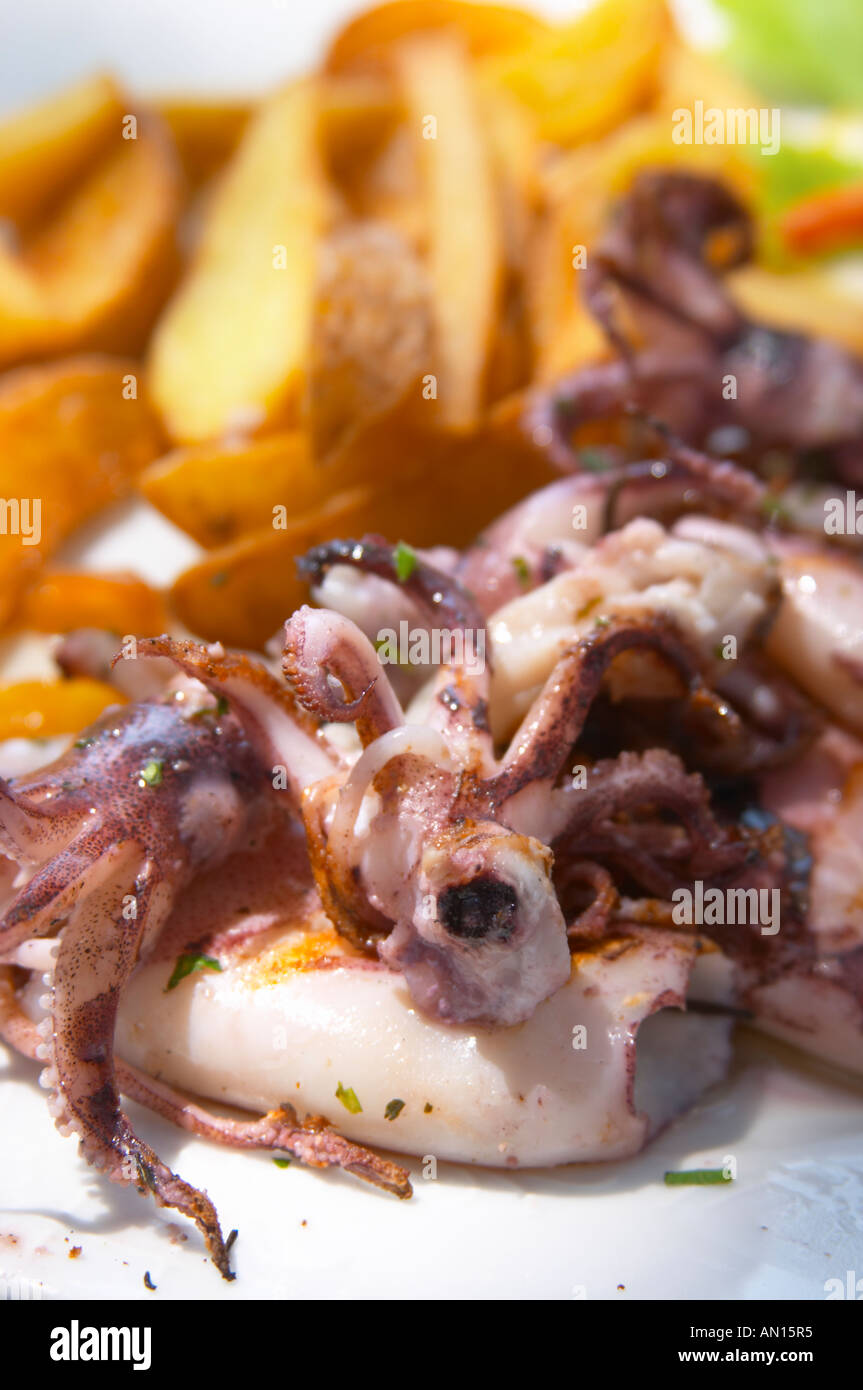 A dish with fried calamares calamari, octopus, ink fish. With chips ...
