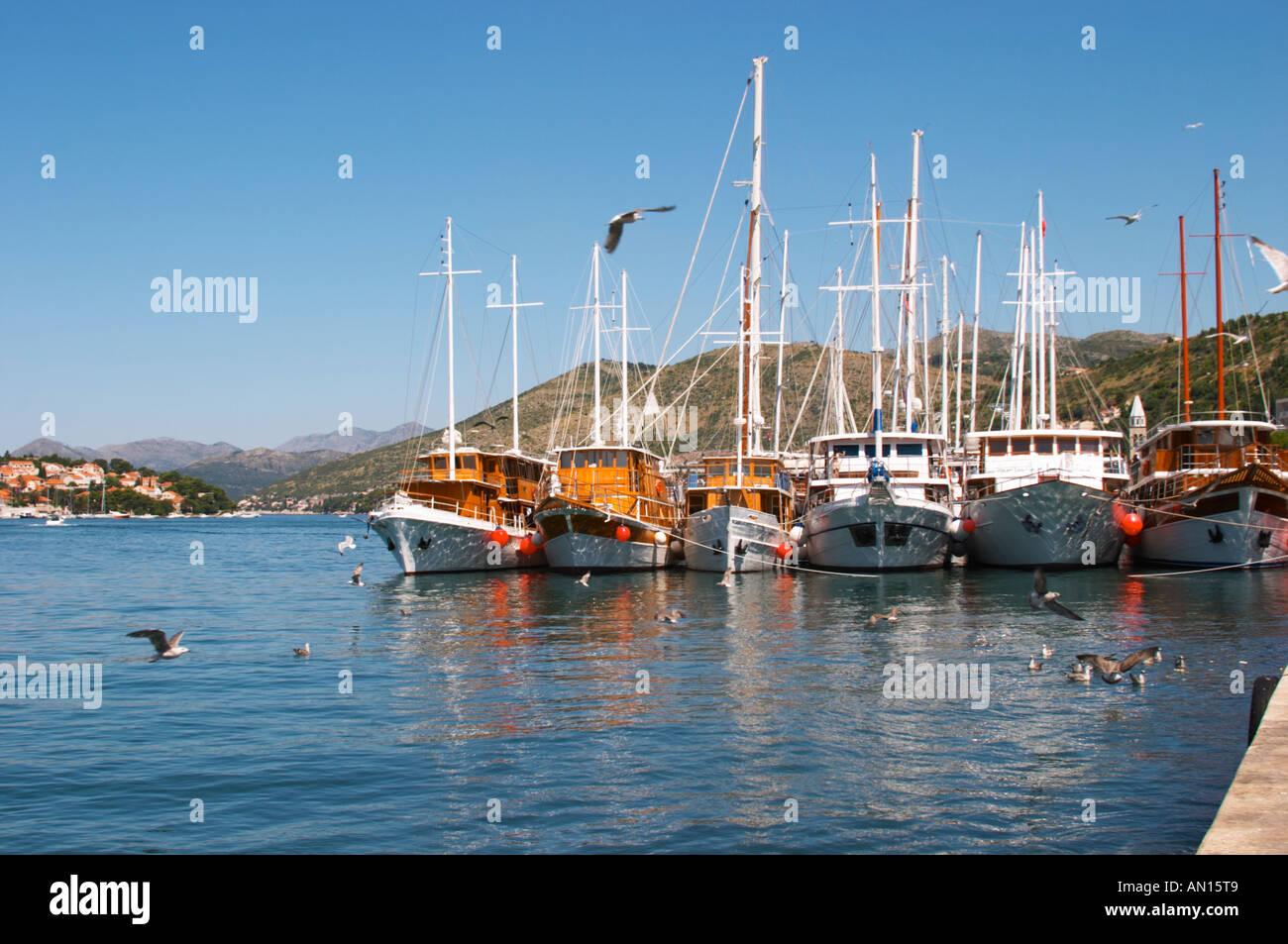 Gruz Harbour In Croatia Dubrovnik High Resolution Stock Photography and ...