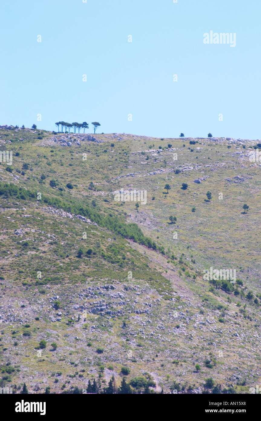 Hilltop hill mountain top, a few lone trees in a line on the crest edge ...