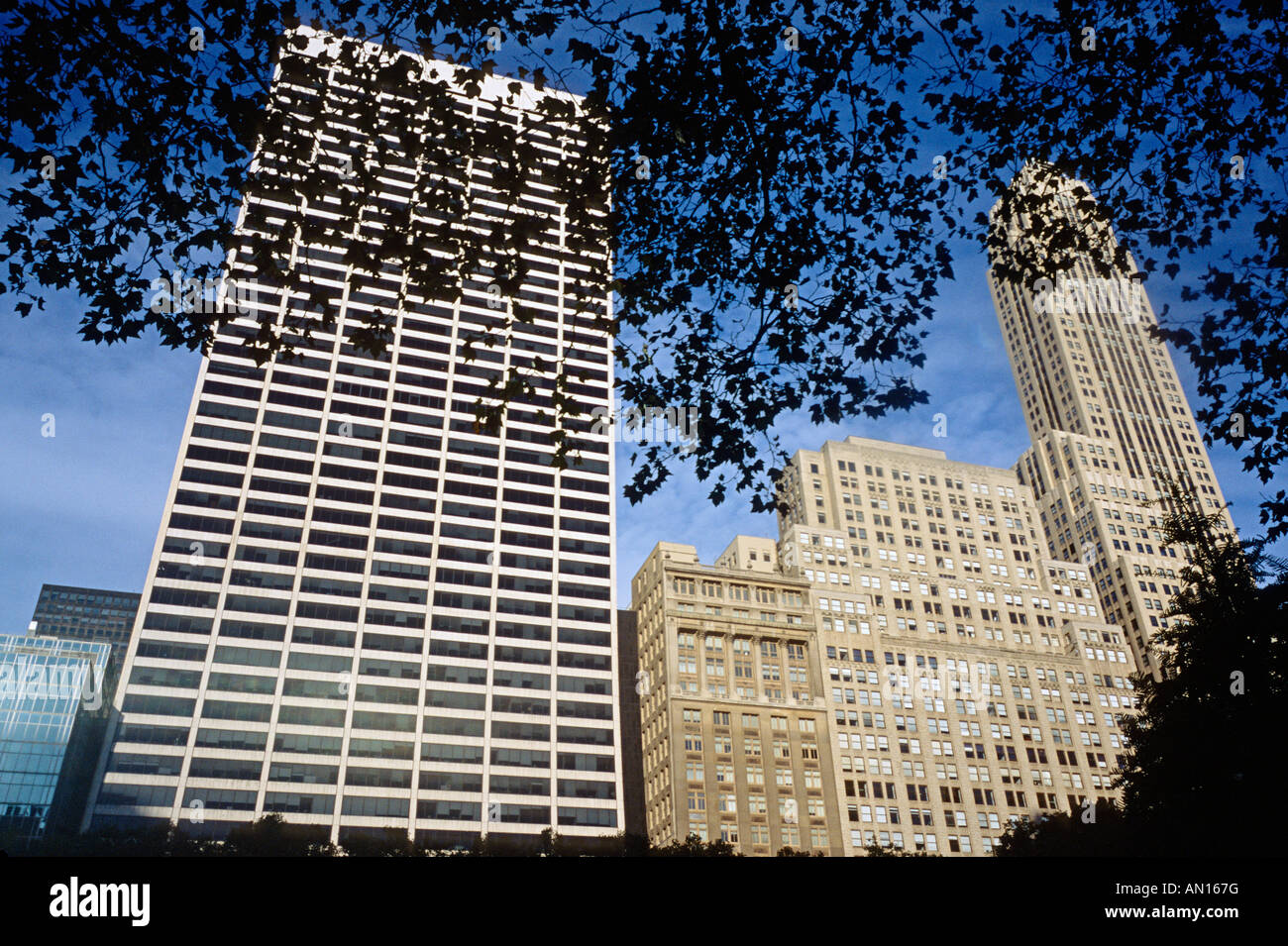 Tall buildings with trees hi-res stock photography and images - Alamy