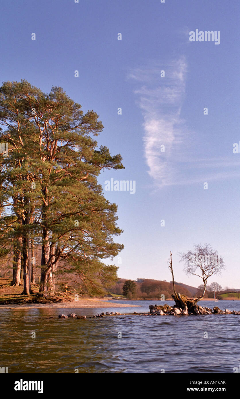 Pines and rocks with stunted tree growth at WaterPark on the edge of ...